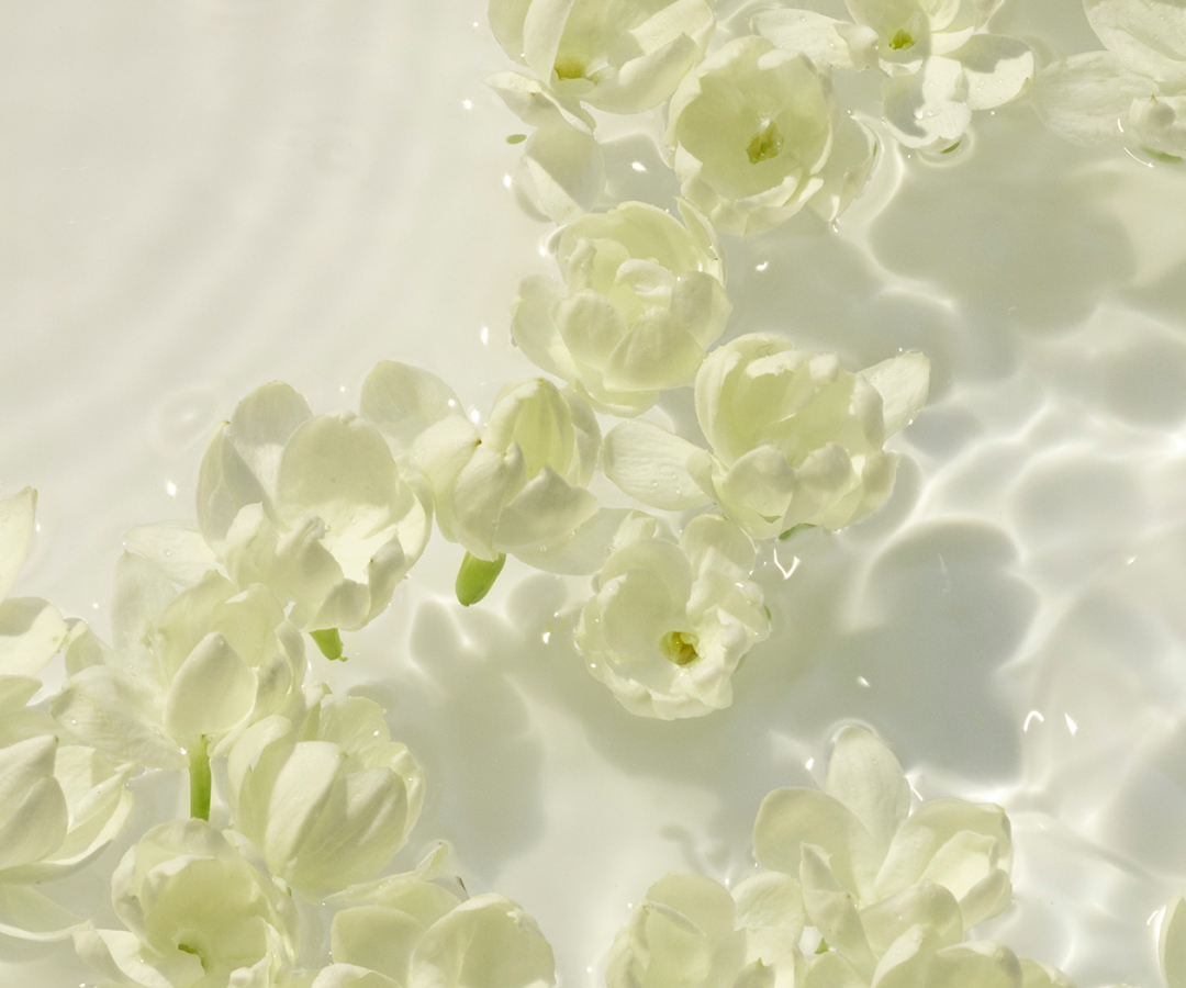 AWAKENING PERFUME OIL COLLECTION - PAÑPURI